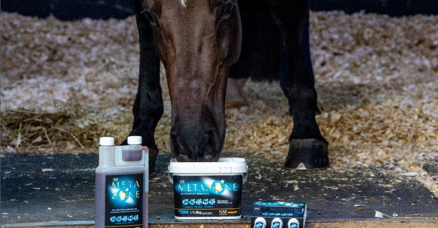 Train, Compete, Recover, Repeat with NAF Five Star Metazone – R & R ...