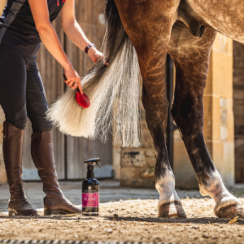 Carr Day Martin Canter Mane and Tail Conditioner - R&R Country
