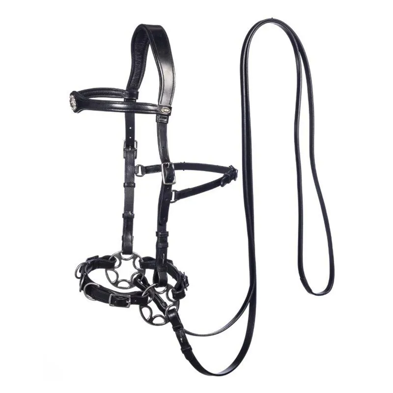 F.R.A Caval Hackamore Bridle - Black