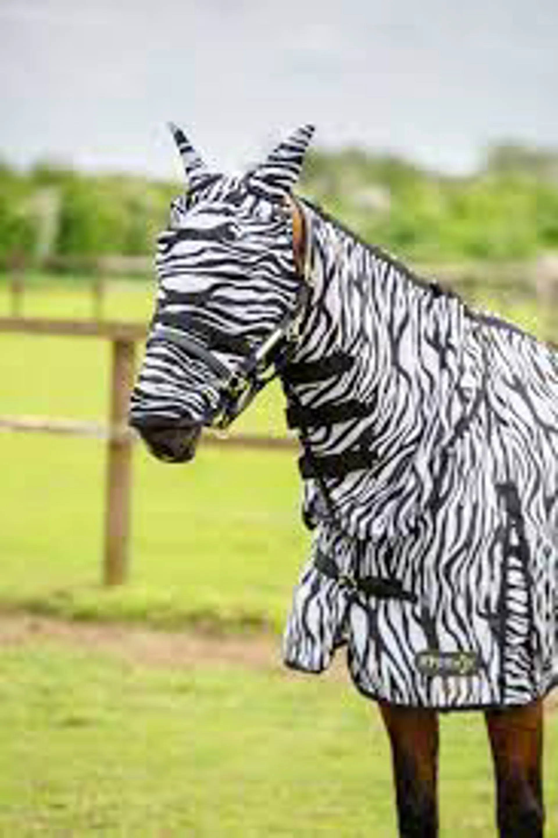 StormX Original Zebra Print Fly Rug - Black/White