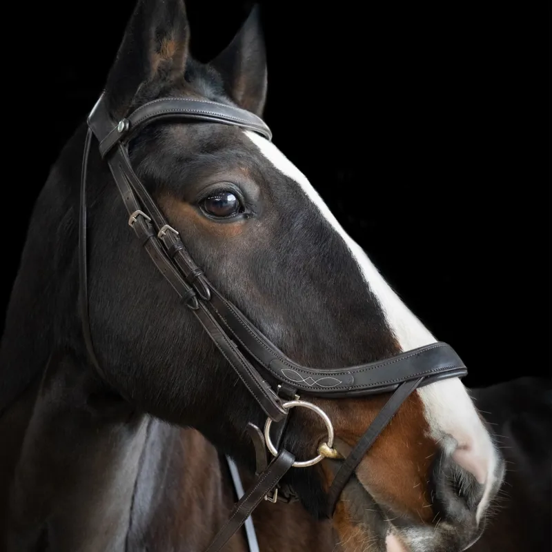 EcoRider Freedom Comfort Bridle - Brown