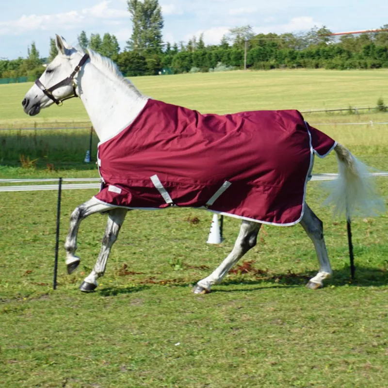 R and R Bramham 50g Standard Neck Turnout Rug