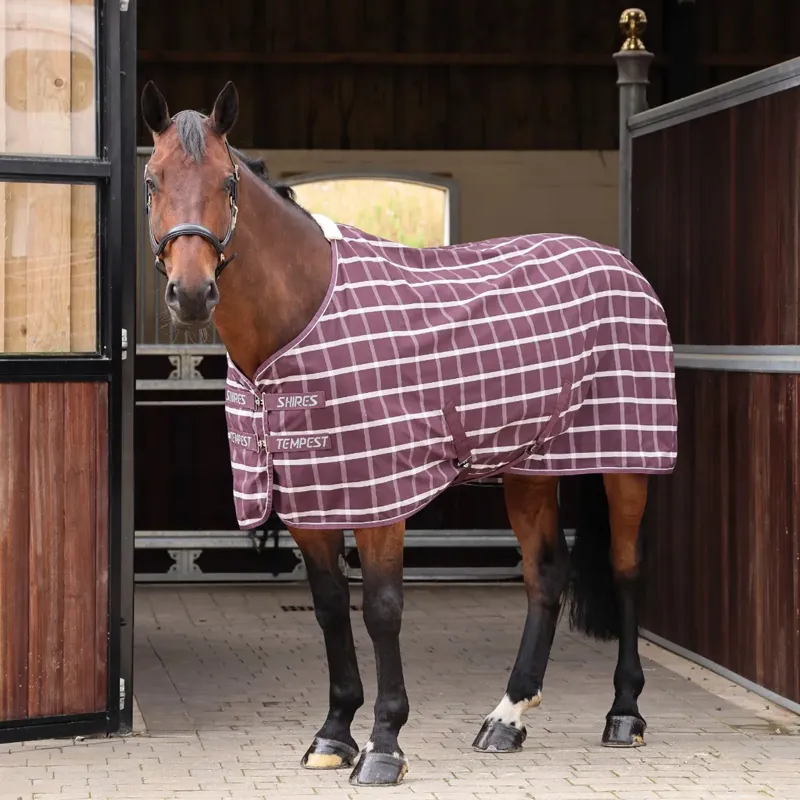 Tempest Original Stable Sheet - Maroon Check