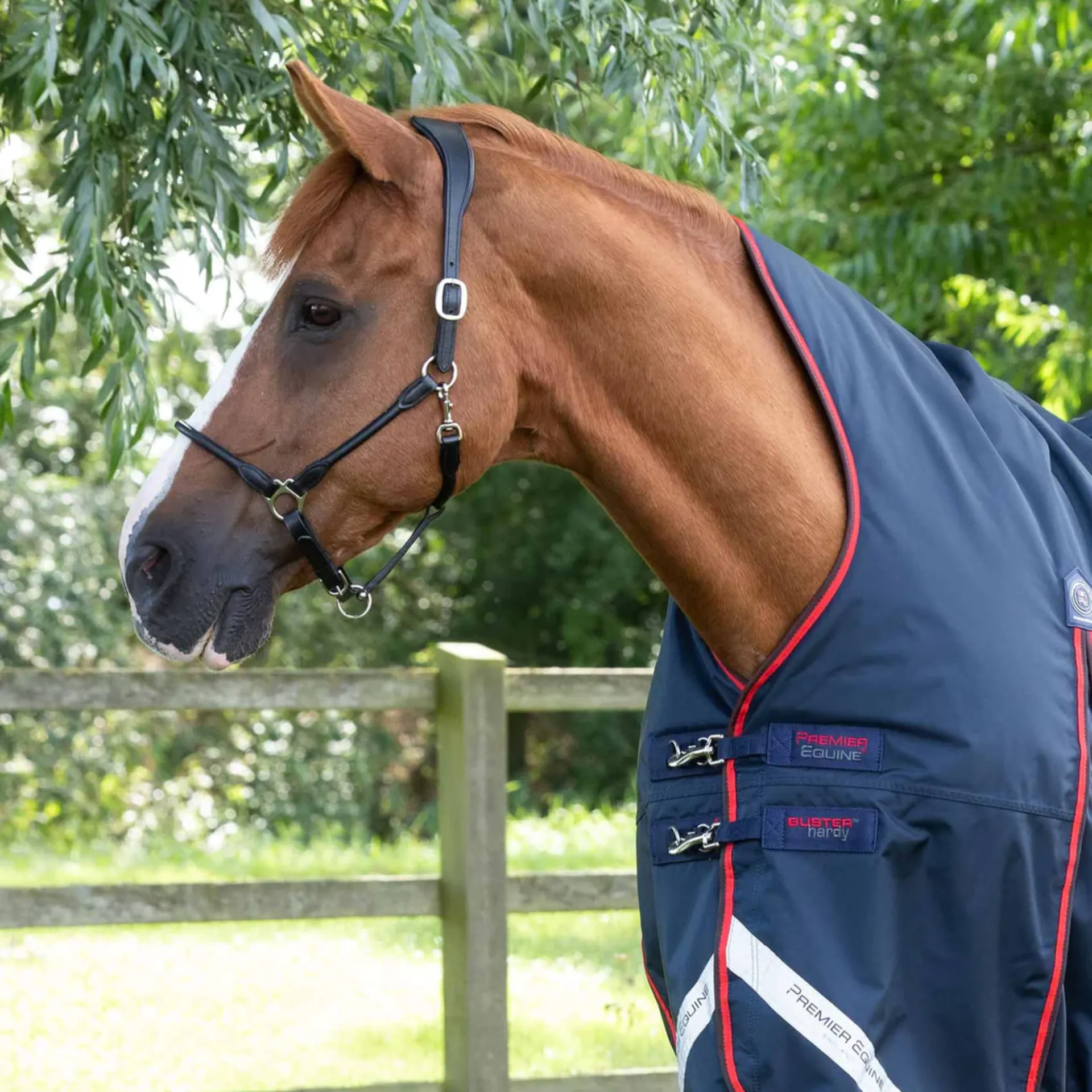 Premier Equine Buster Hardy 200g Half Neck Turnout Rug - Navy